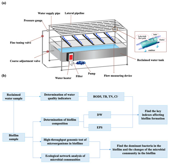 Formation and Microbial Composition of Biofilms in Drip Irrigation ...