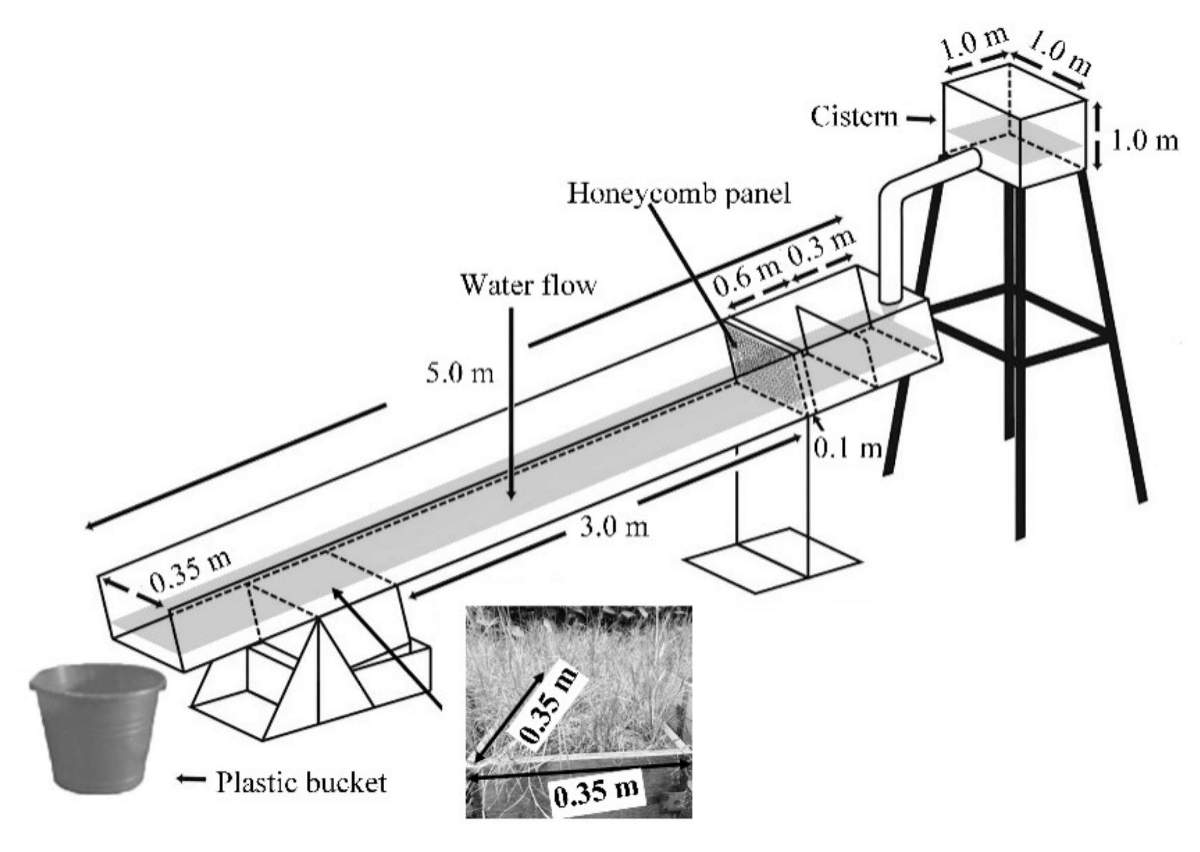 Root Functional Traits and Water Erosion-Reducing Potential of Two ...