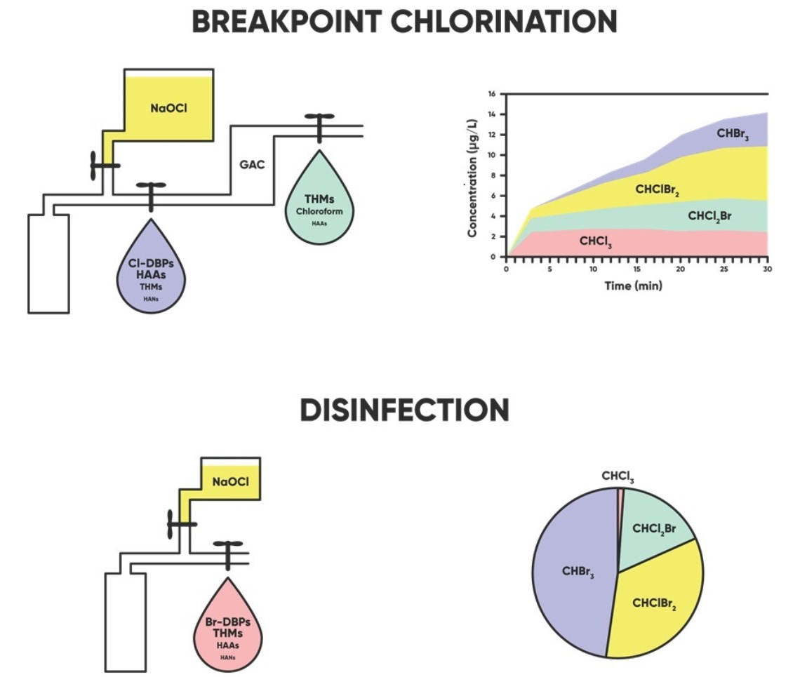 Water | Free Full-Text | Comparison of Disinfection By-Product ...