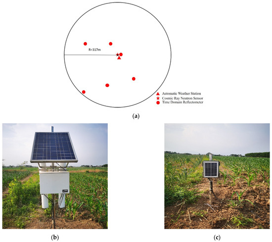 Application of Cosmic-Ray Neutron Sensor Method to Calculate Field Water Use Efficiency