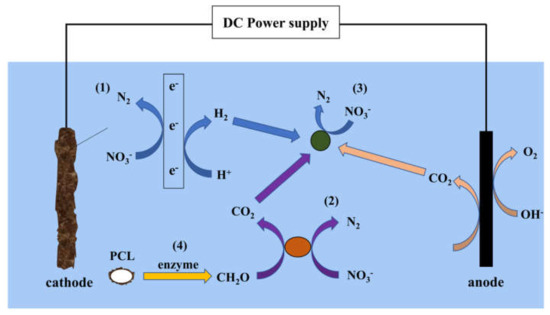 Nitrate Removal from Groundwater by Heterotrophic and Electro ...