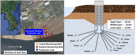 An Assessment of the Effectiveness of Riverbank Filtration in a Sewage ...