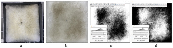 Water | An Open Access Journal from MDPI