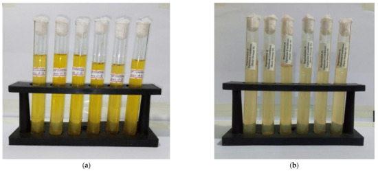 Water | An Open Access Journal from MDPI
