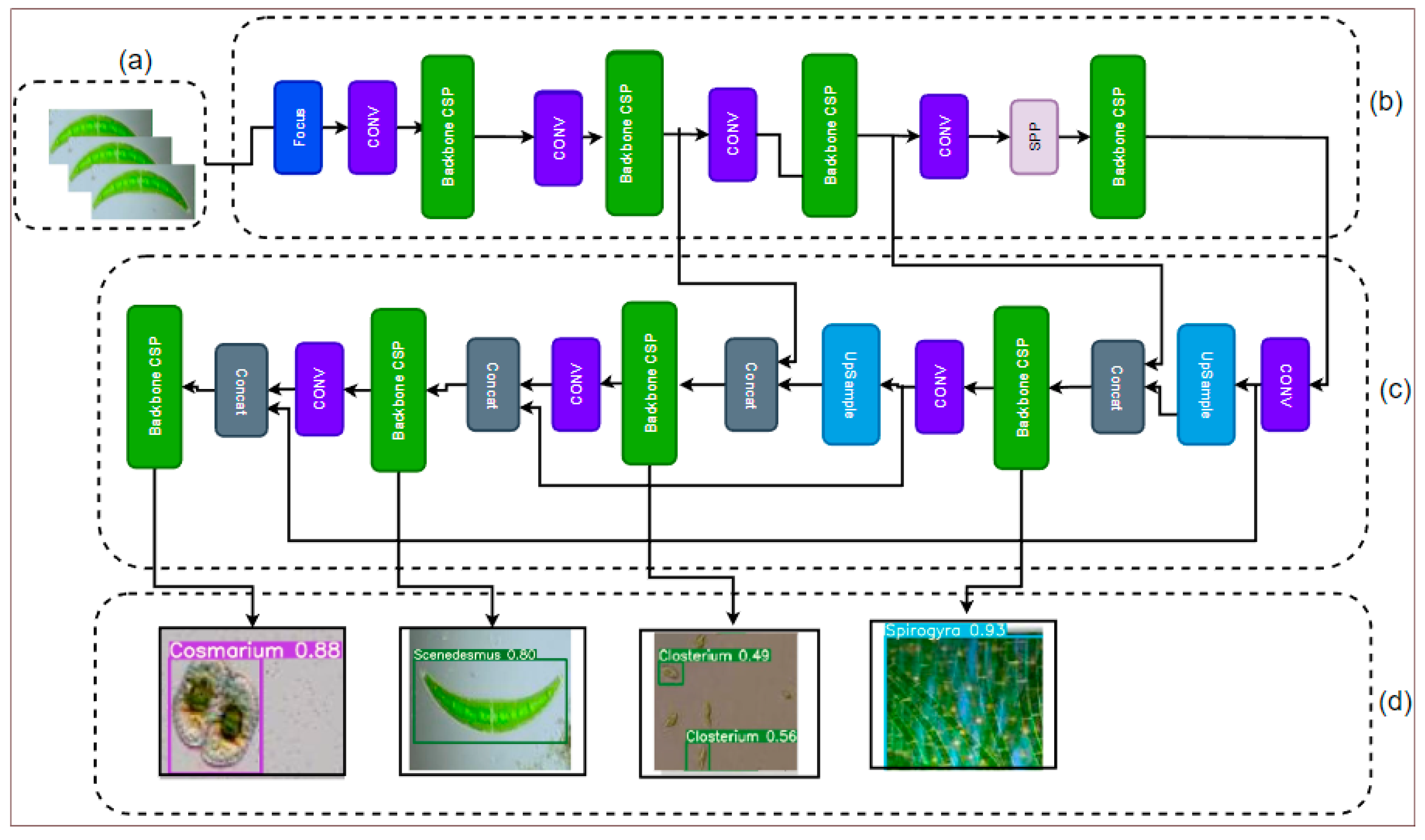 Computer Vision Based Deep Learning Approach for the Detection and ...