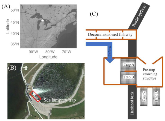 Test of a Screw-Style Fish Lift for Introducing Migratory Fish into a ...