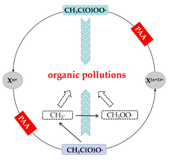 Review of Advanced Oxidation Processes Based on Peracetic Acid for ...