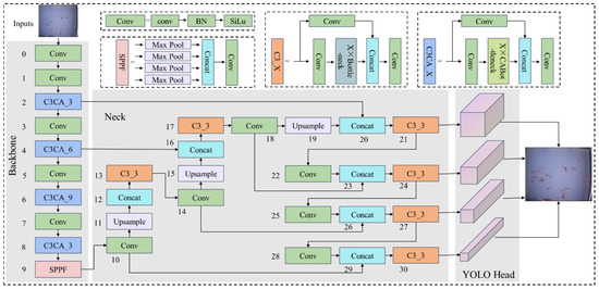 CME-YOLOv5: An Efficient Object Detection Network for Densely Spaced ...