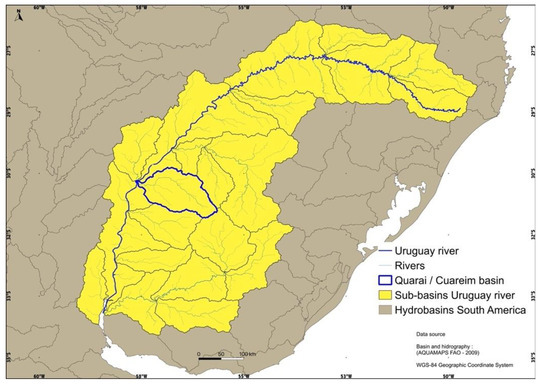 Conceptual and Methodological Foundations for the Articulation of ...