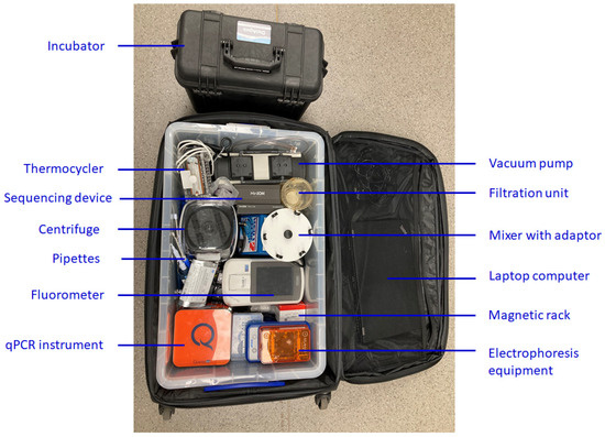 MinION Nanopore Sequencing Accelerates Progress towards Ubiquitous ...