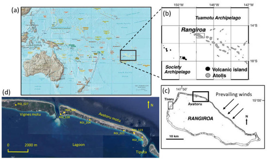 Role of Reef-Flat Plate on the Hydrogeology of an Atoll Island: Example ...