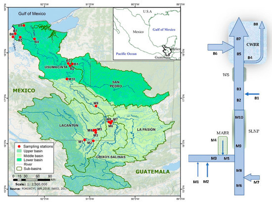 The Seasonal Dynamics of Organic and Inorganic Carbon along the ...