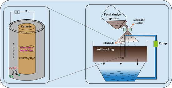 Water | Free Full-Text | Digestate of Fecal Sludge Enhances the ...