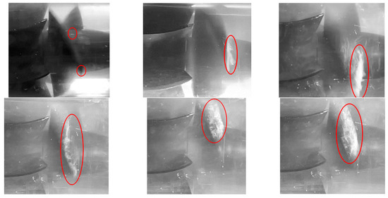 Numerical Simulation of Axial-Flow Pump Cavitation Based on Variable ...