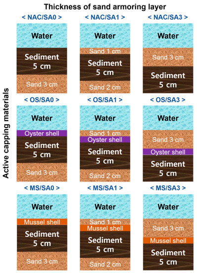 Application of Activated Seashells and Sand Armor for Disrupting N and ...