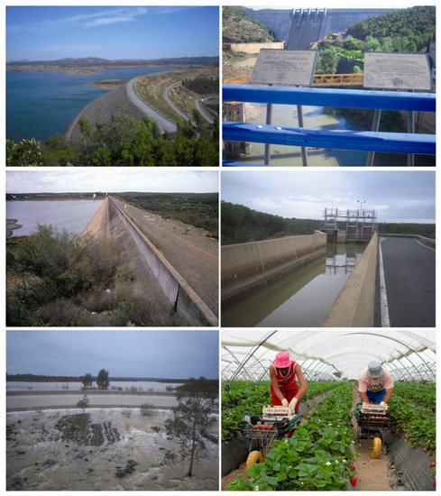 The Role of the Andalusian Institute for Agrarian Reform (IARA) in ...