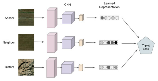 Unsupervised Representation Learning of GRACE Improves Groundwater Predictions