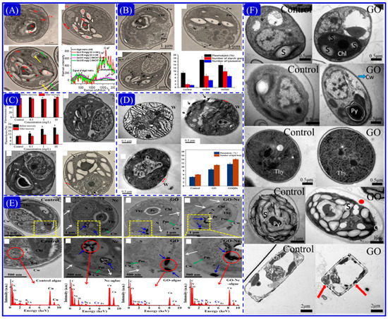 An Overview of Light-Mediated Impact of Graphene Oxide on Algae: Photo ...