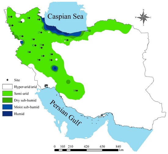 Water Free Full Text Csm Ceres Wheat Sensitivity To Evapotranspiration Modeling Frameworks