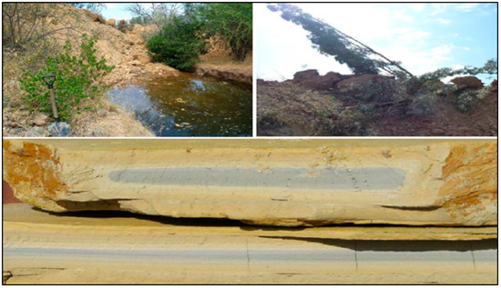Environmental Impact Assessment of Mine Tailings Spill Considering ...