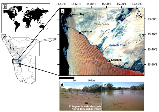 Monitoring the Dynamics of Ephemeral Rivers from Space: An Example of ...
