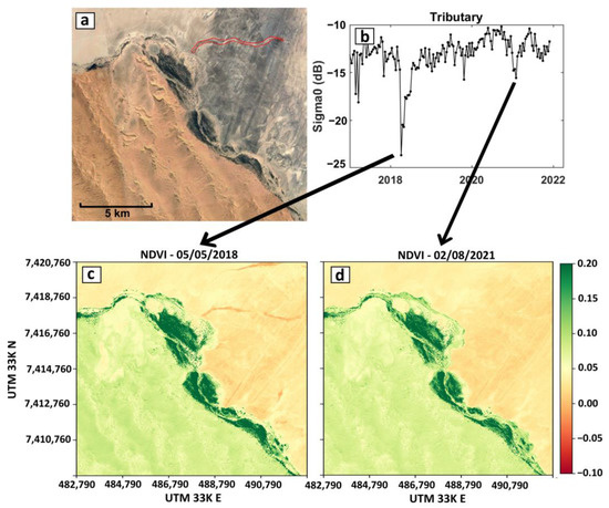 Monitoring the Dynamics of Ephemeral Rivers from Space: An Example of ...