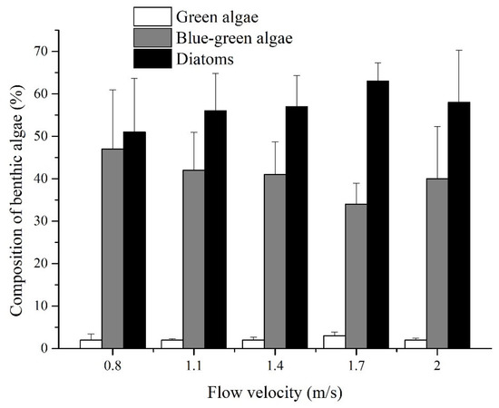 Experimental Study on the Impact of Pulsed Flow Velocity on the ...
