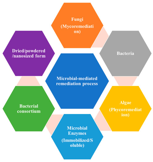 A Recent and Systemic Approach Towards Microbial Biodegradation of Dyes ...