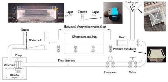 Water | Free Full-Text | Study on the Motion Characteristics of ...