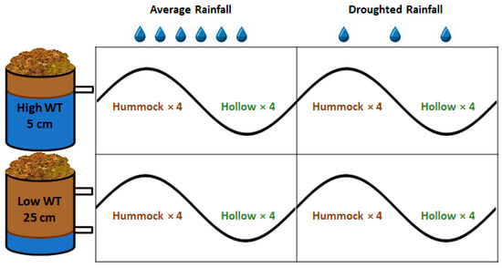 Fresh Air for the Mire-Breathing Hypothesis: Sphagnum Moss and Peat ...