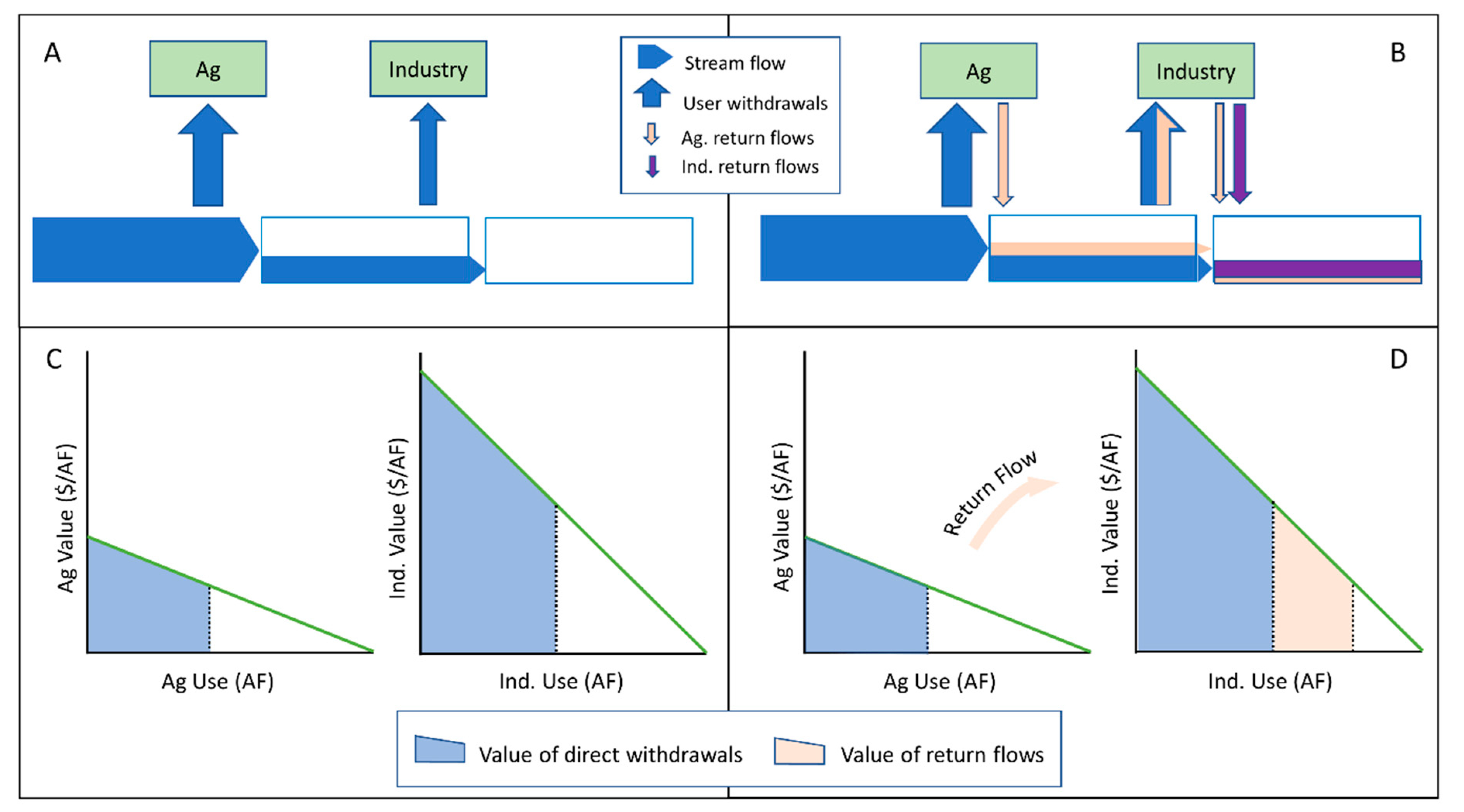 Water Allocation, Return Flows, and Economic Value in Water-Scarce ...