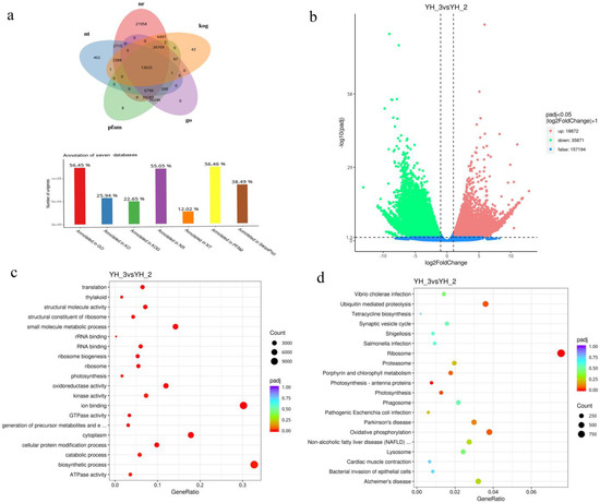 Combined Transcriptome and Metabolome Analysis of a New Species of ...
