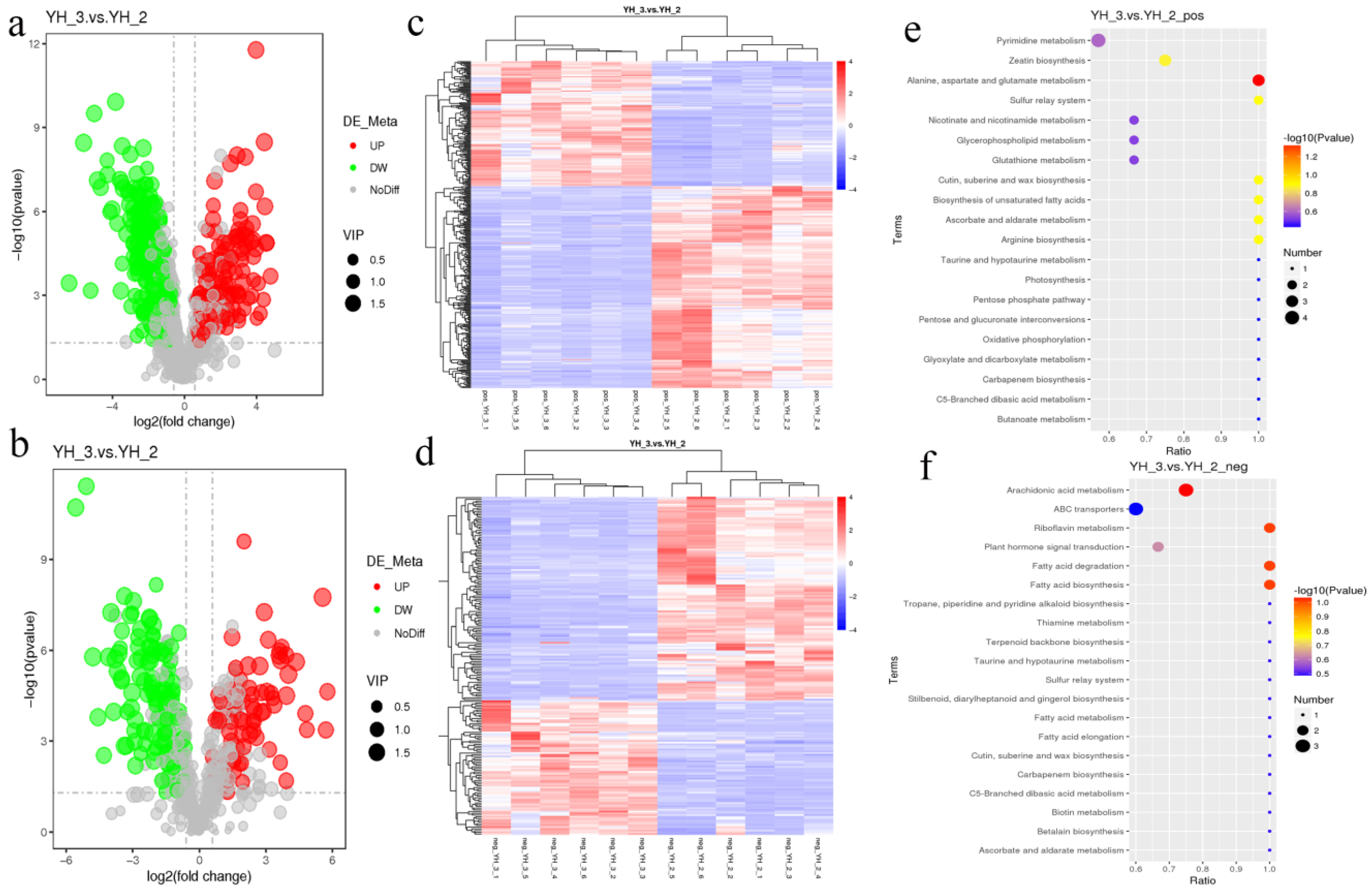 Combined Transcriptome and Metabolome Analysis of a New Species of ...