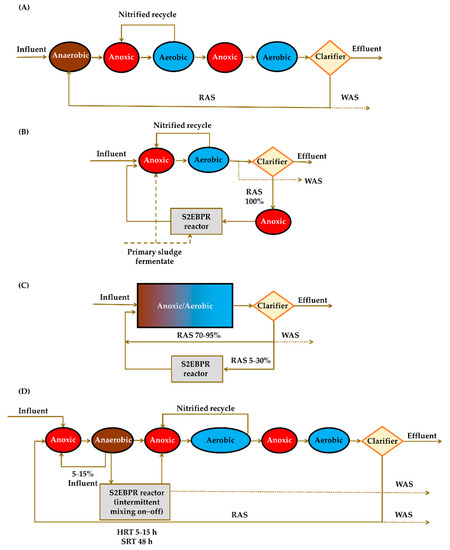 The Occurrence and Role of Tetrasphaera in Enhanced Biological ...