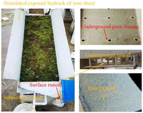 Effects of Moss Overlay on Soil Patch Infiltration and Runoff in Karst ...