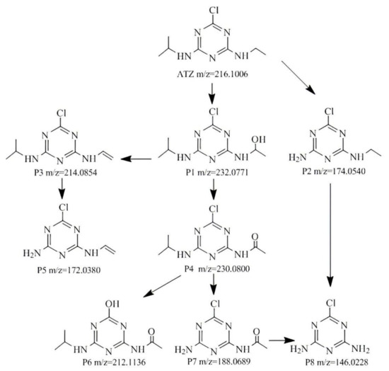 Catalytic Ozonation of Atrazine Enhanced by Mesoporous CeO2: Morphology ...