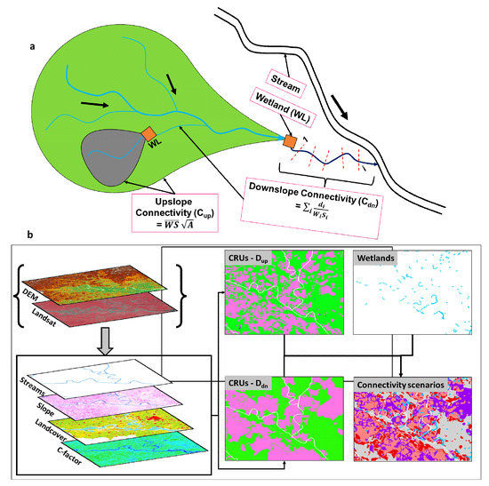 Integrating Hydrological Connectivity in a Process–Response Framework ...