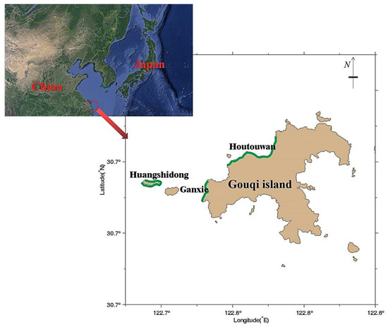 Differences in Light Attenuation Patterns of Sargassum horneri Beds and ...