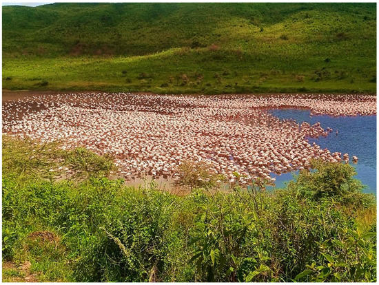 Spatio–Temporal Water Quality Determines Algal Bloom Occurrence and ...