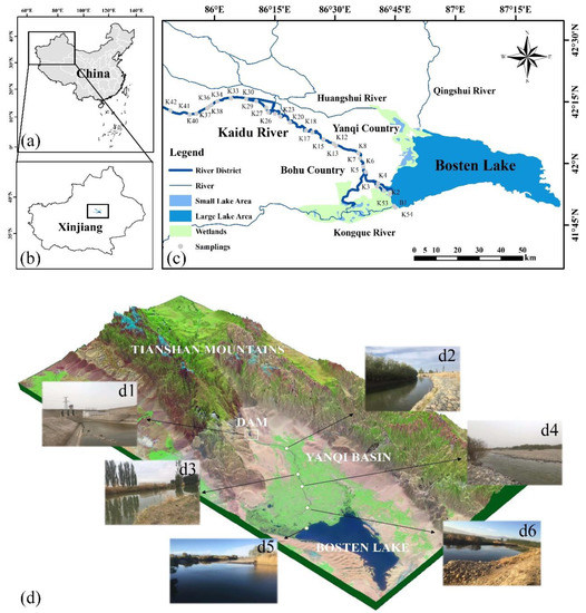 Characteristics of Dissolved Organic Matter and Its Relationship with ...