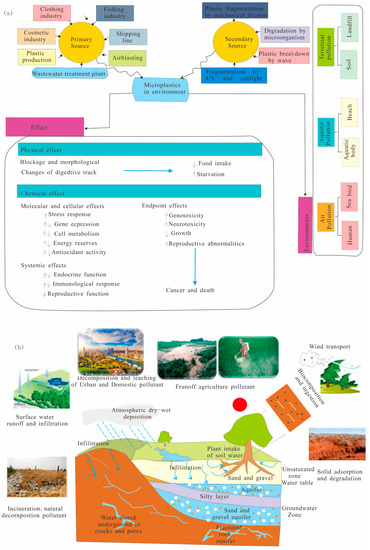 Research Progress of Microplastic Pollution in the Vadose Zone