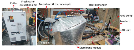 Water | Free Full-Text | Performance Analysis of an Eductor-Based ...