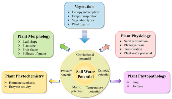 Revisiting Soil Water Potential: Towards a Better Understanding of Soil ...