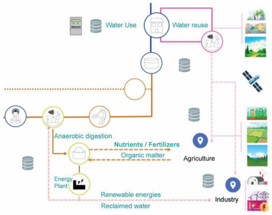The Potential of Digitalization to Promote a Circular Economy in the ...