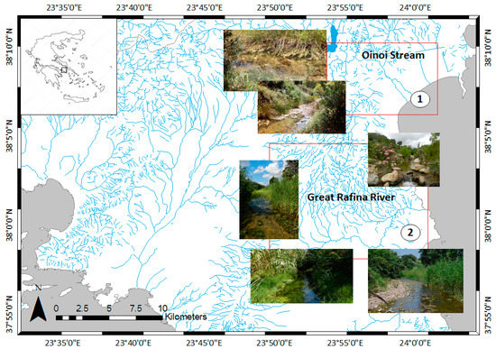Towards i5 Ecohydraulics: Field Determination of Manning’s Roughness ...