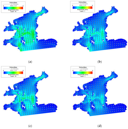 Water | Free Full-Text | Analysis of the Invasion of Acetes into the ...