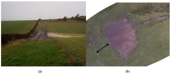 The Role of Runoff Attenuation Features (RAFs) in Natural Flood Management