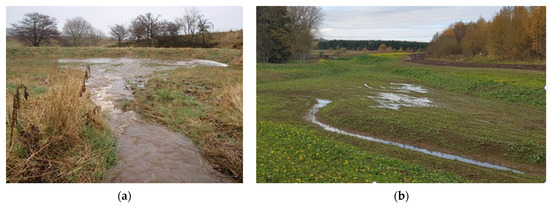 The Role of Runoff Attenuation Features (RAFs) in Natural Flood Management