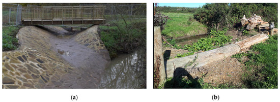 The Role of Runoff Attenuation Features (RAFs) in Natural Flood Management