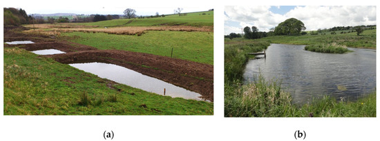 The Role of Runoff Attenuation Features (RAFs) in Natural Flood Management